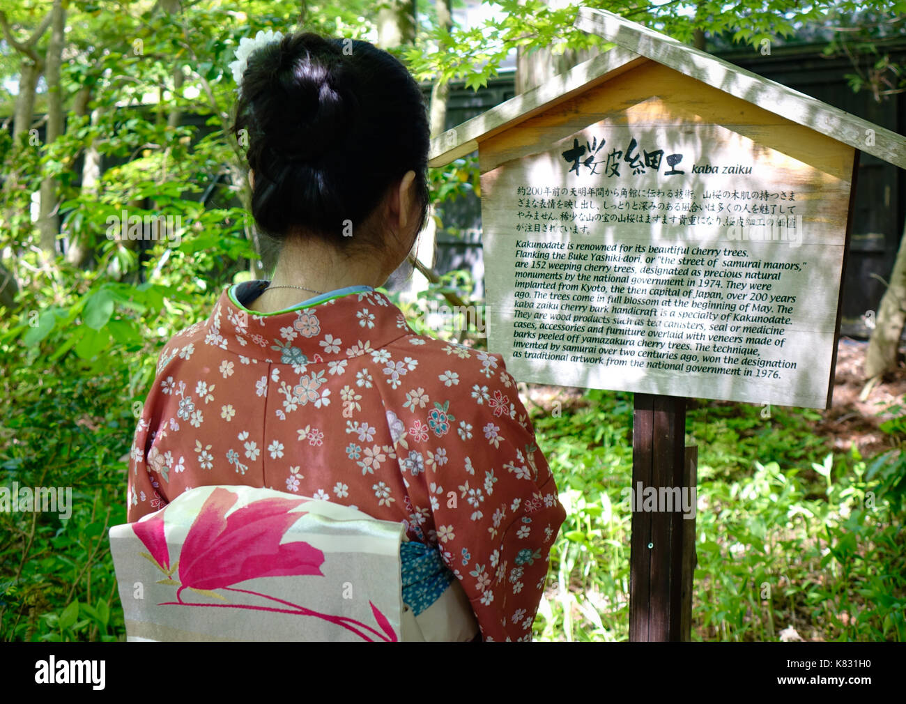 Akita, Japan - May 17, 2017. A woman in kimono visiting Kakunodate ...