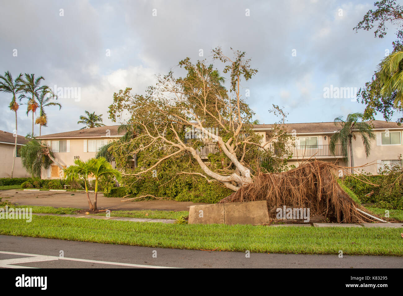 Hurricane Damage Naples Florida