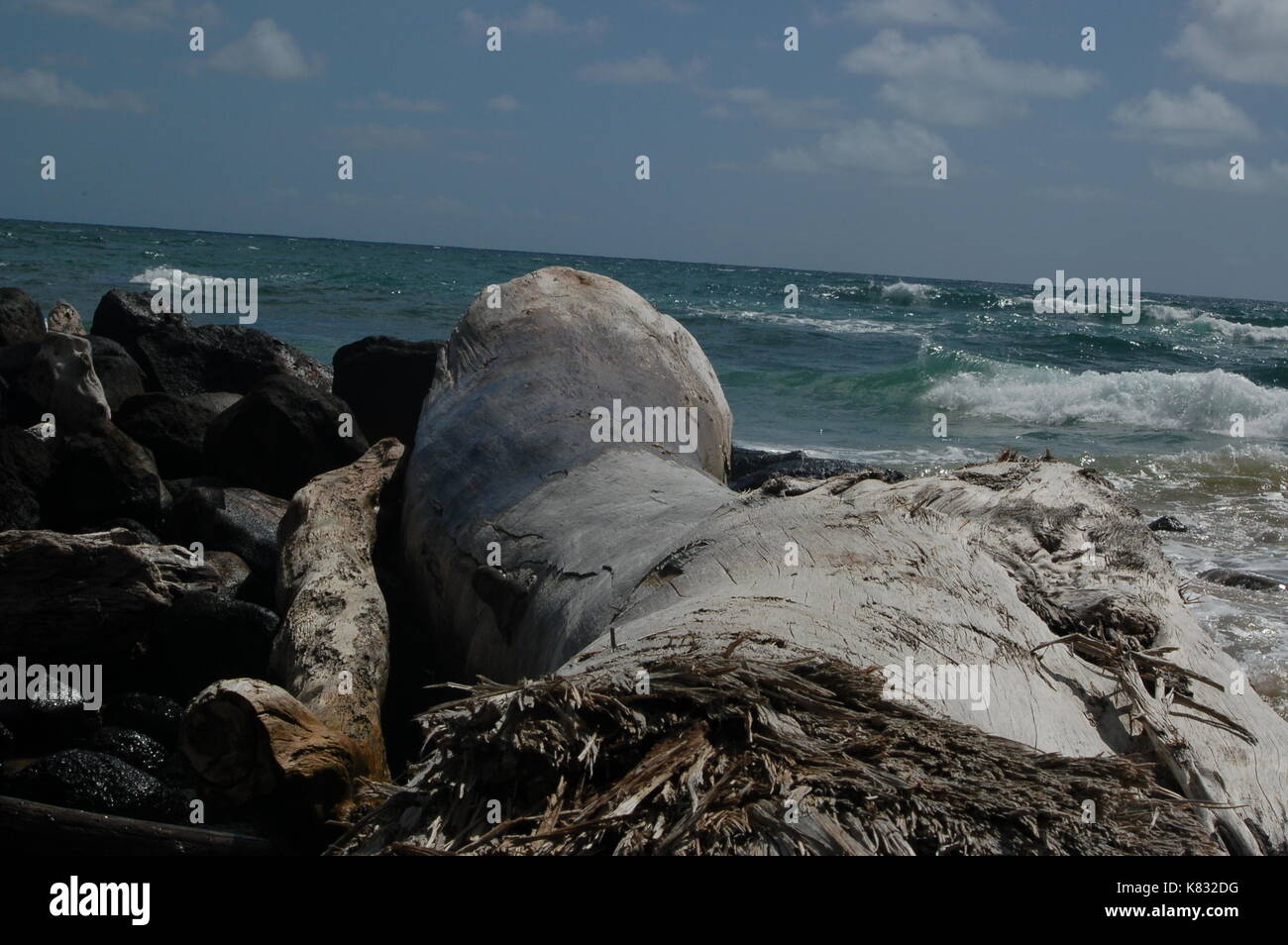 Hawaiian Emperor Seamount Chain High Resolution Stock Photography and ...