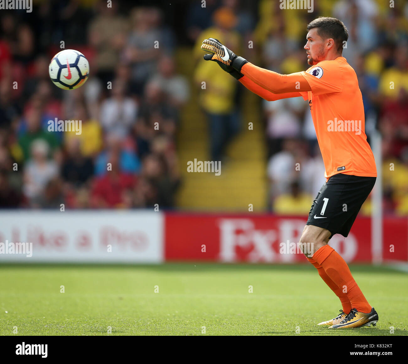 Brighton and Hove Albion's Mat Ryan during the Premier League match at ...
