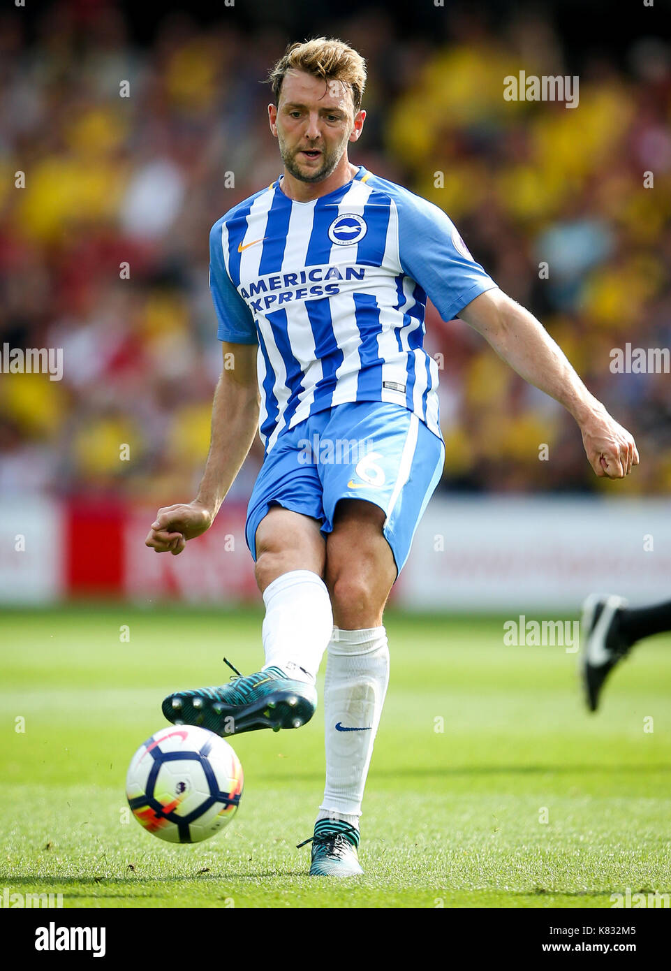 Brighton and Hove Albion's Dale Stephens during the Premier League ...