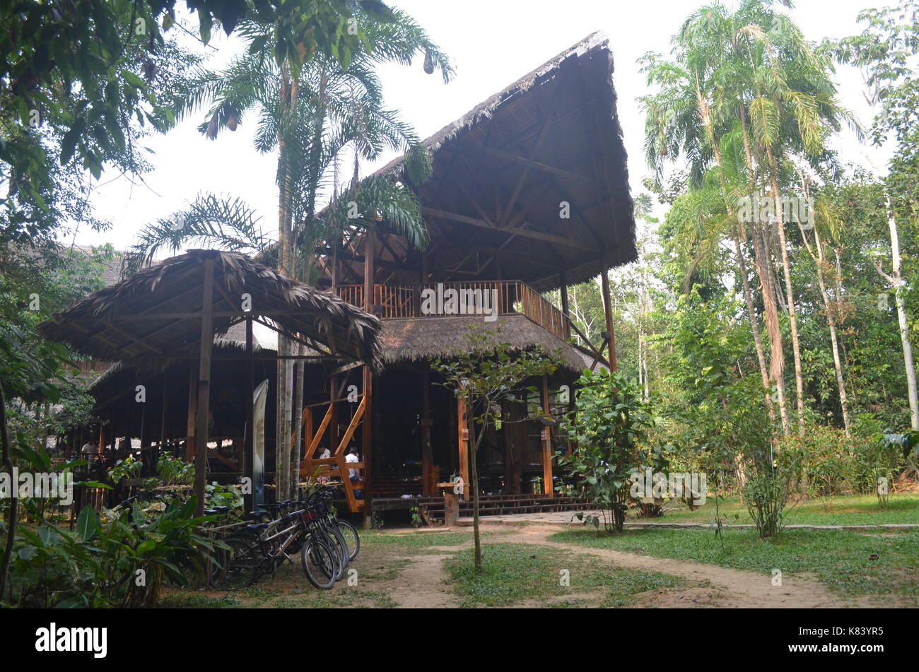 Peru amazon rainforest lodge hi-res stock photography and images - Alamy