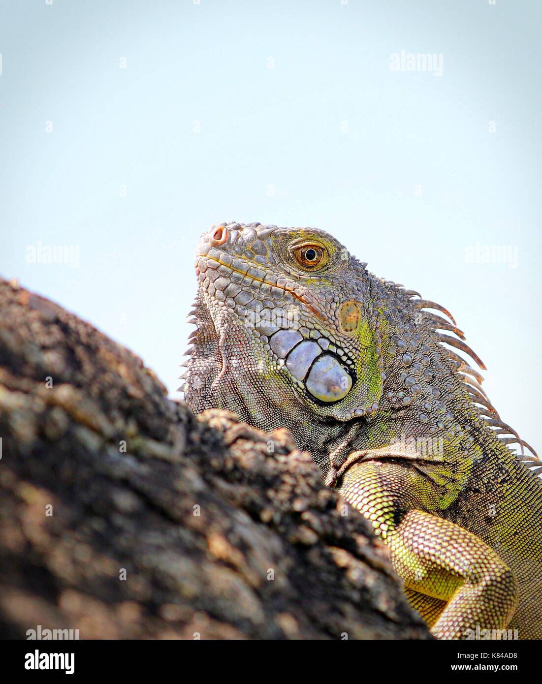 Soaking up the sun hi-res stock photography and images - Alamy