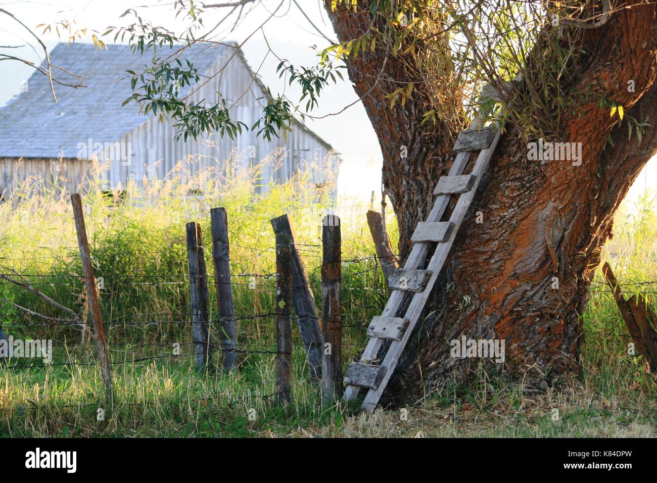 love nature, northwest and texas Stock Photo - Alamy