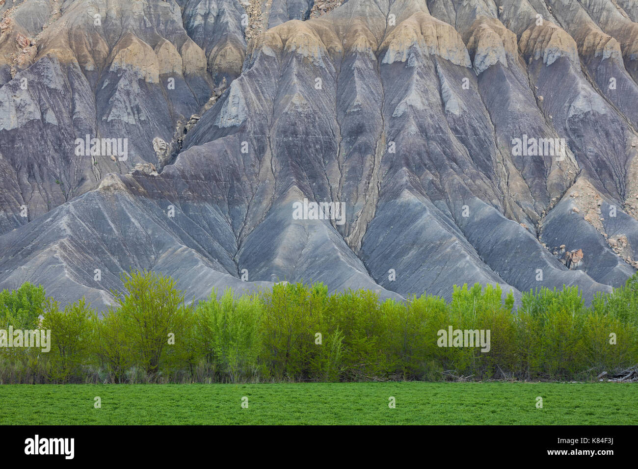 Mancos shale hi-res stock photography and images - Alamy