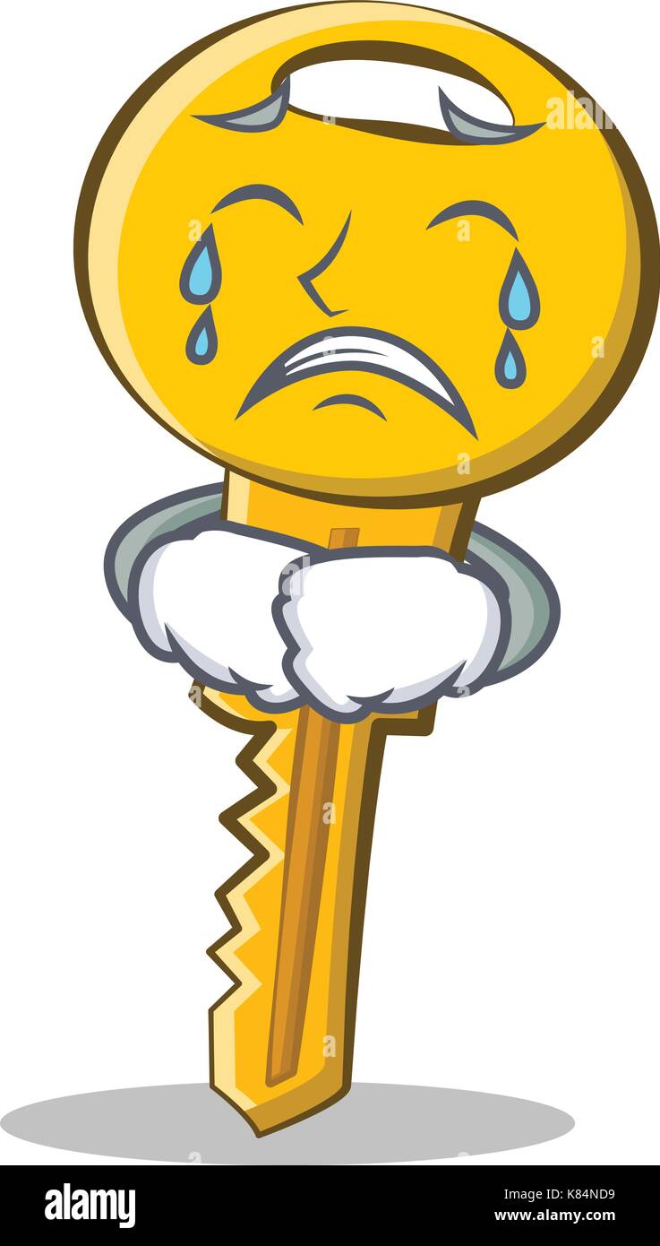 Presenting key Stock Vector Images - Alamy