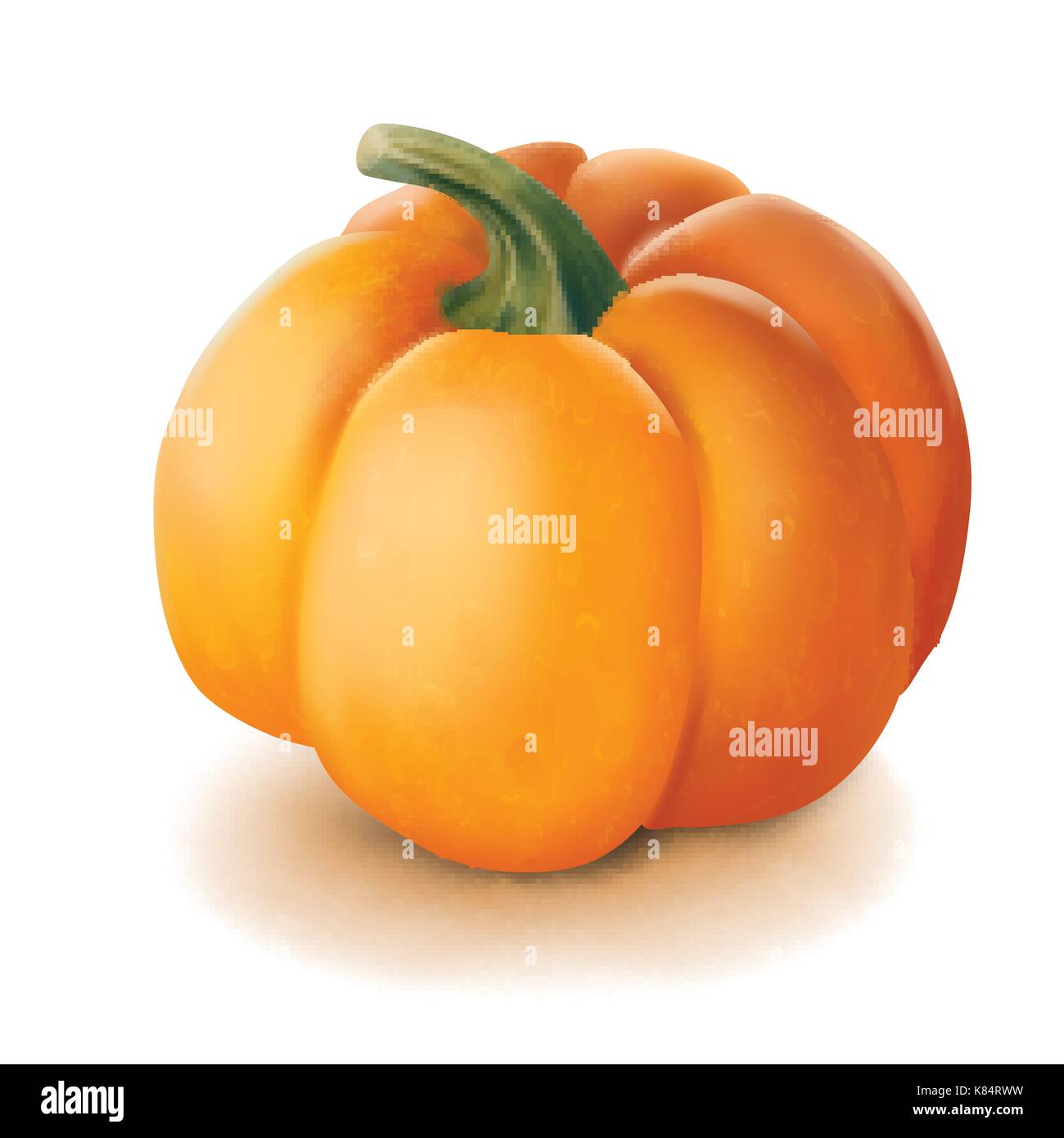 Halloween thanksgiving realistic pumpkin Cut Out Stock Images ...