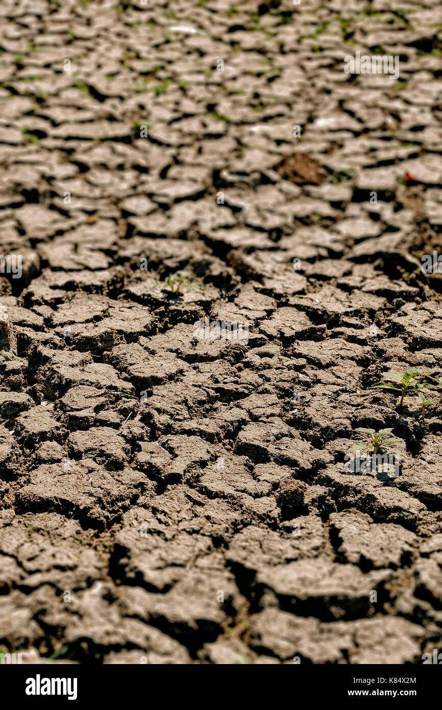 Cracks in drought affected earth Stock Photo - Alamy