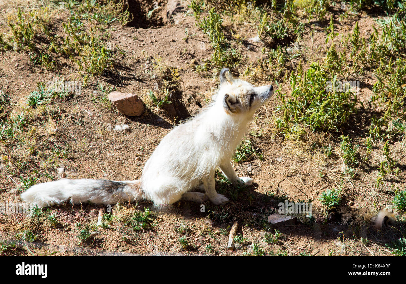 Colorado wildlife reserve hi-res stock photography and images - Alamy