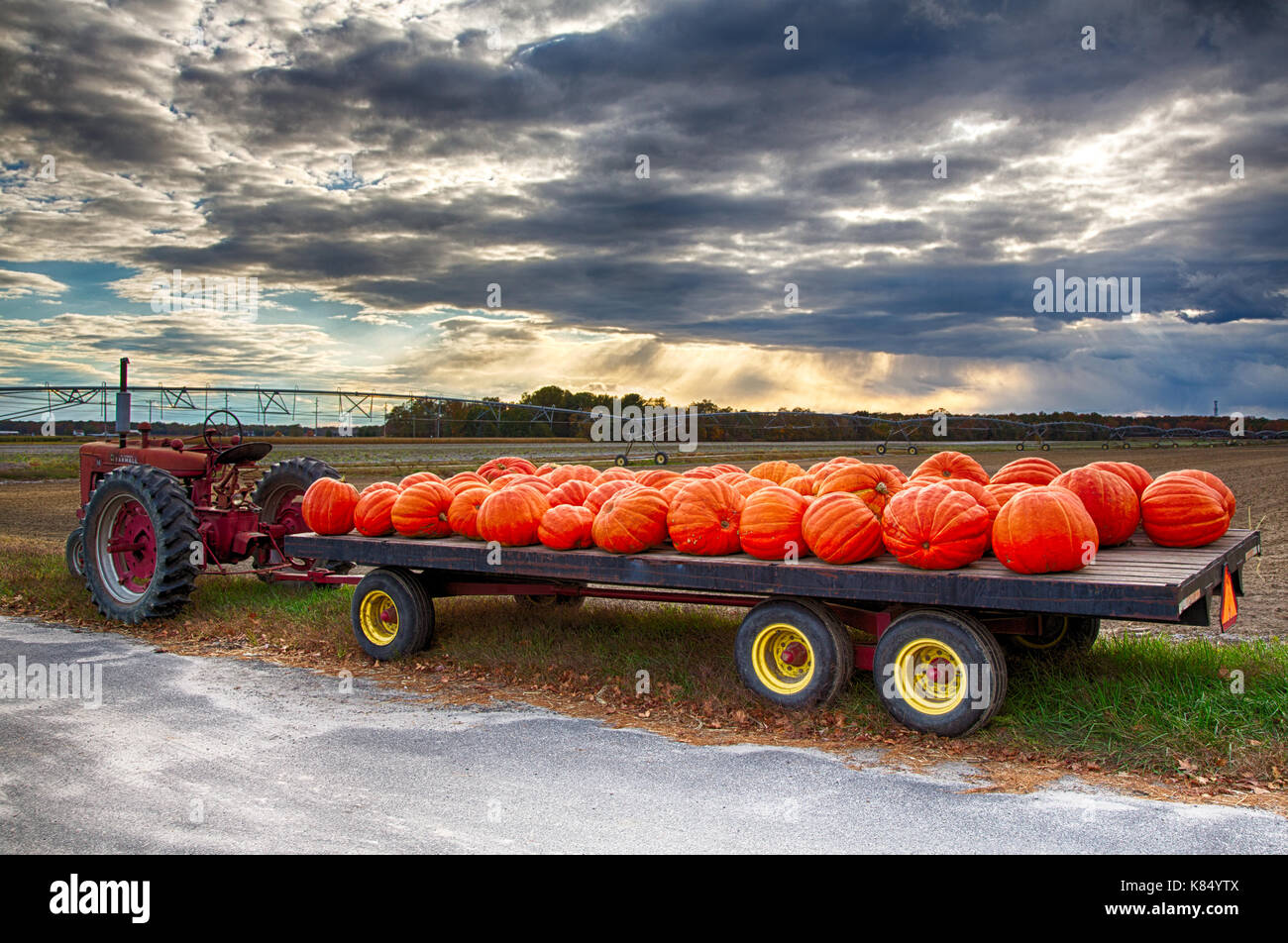 Market garden tractor hi-res stock photography and images - Alamy