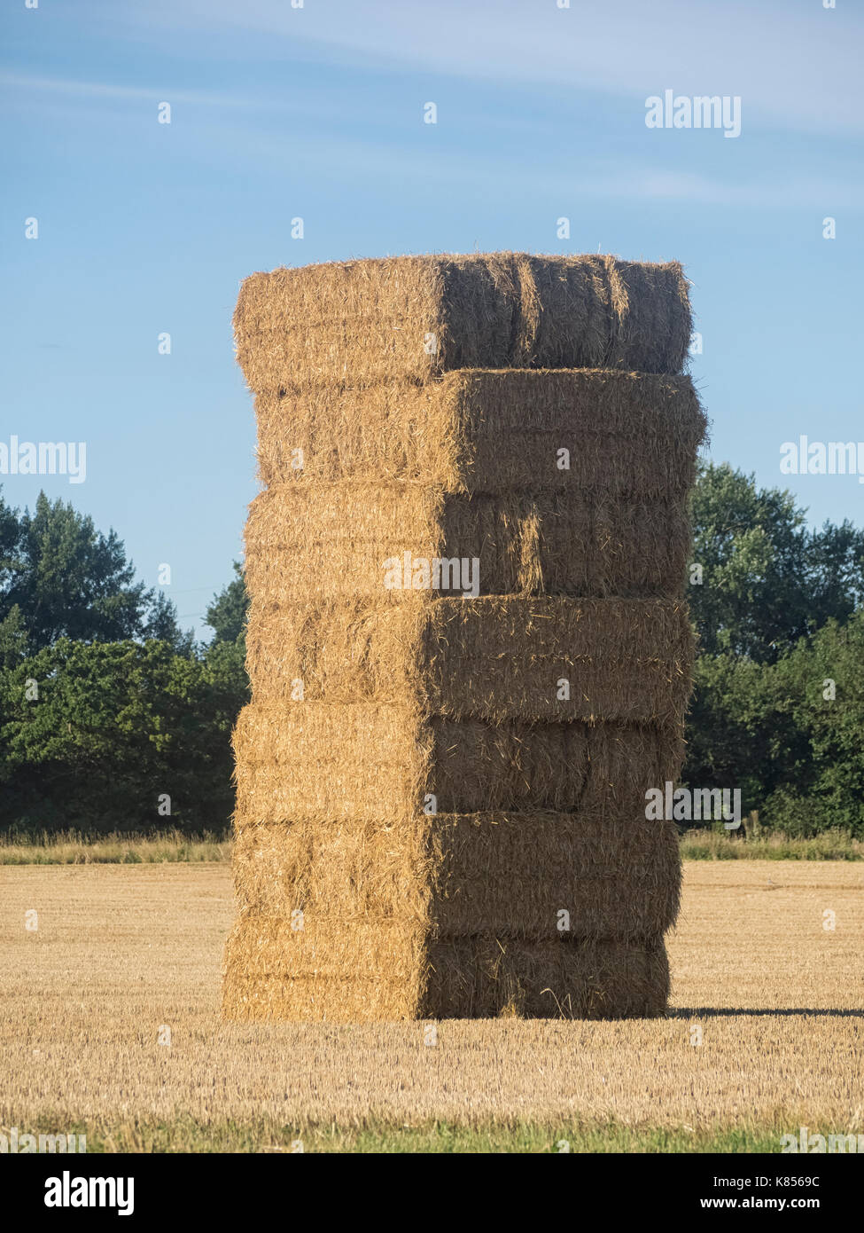Square hay bales in field hi-res stock photography and images - Alamy