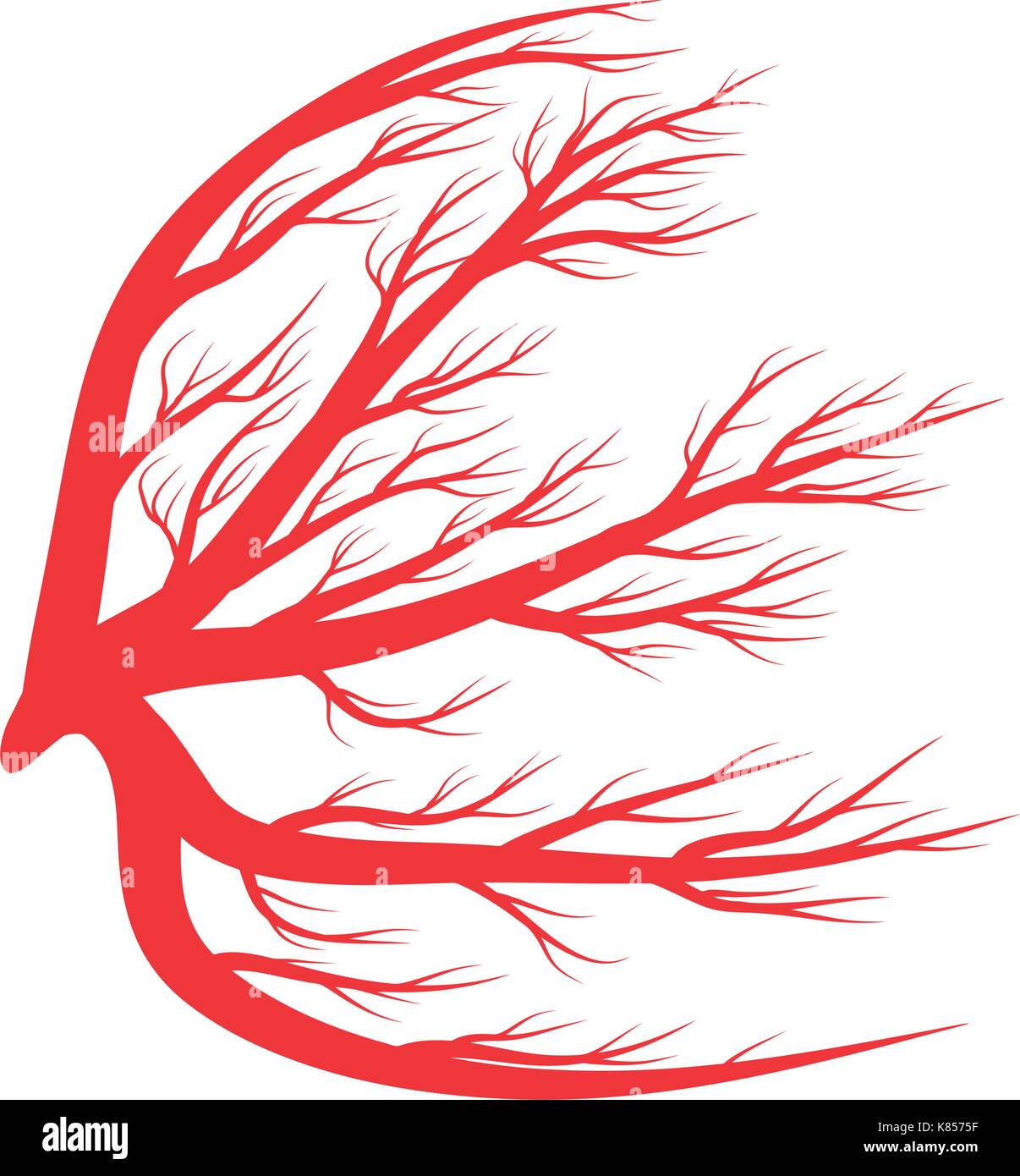 Blood Vessels Cartoon