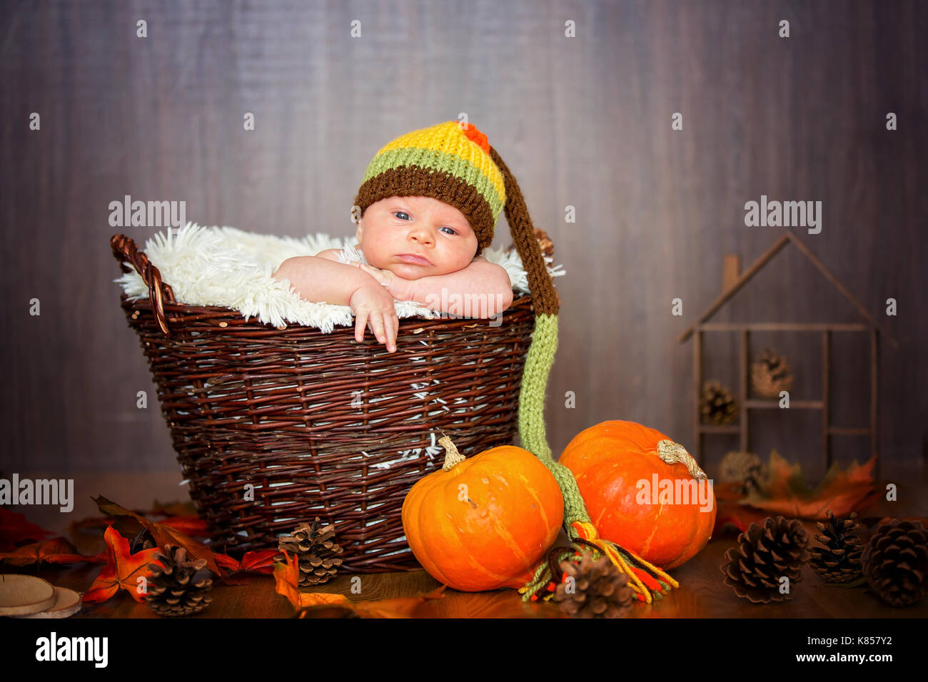 Boy pines hi-res stock photography and images - Alamy