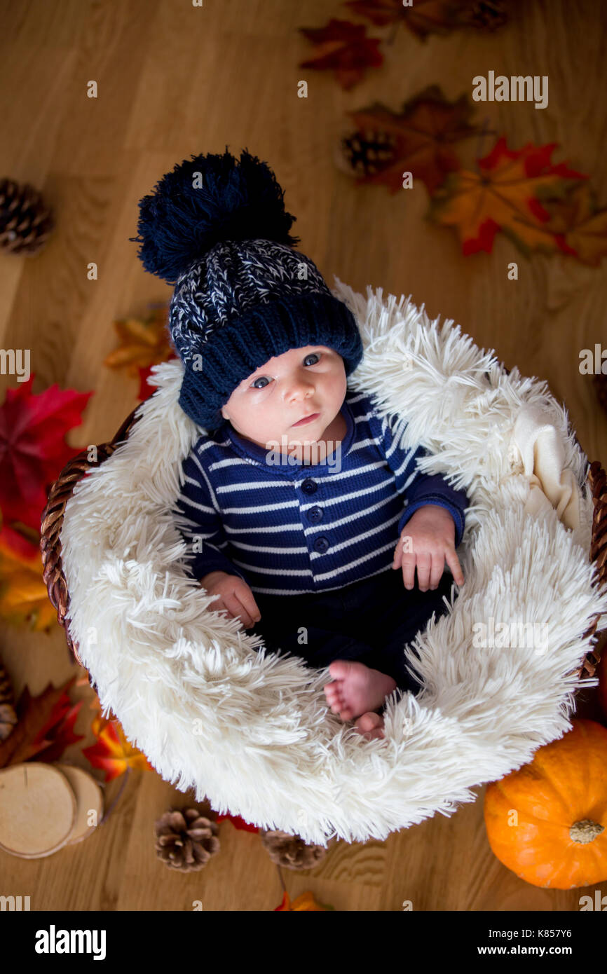 Cute newborn baby boy with blue knitted hat in a basket, pumpkins ...