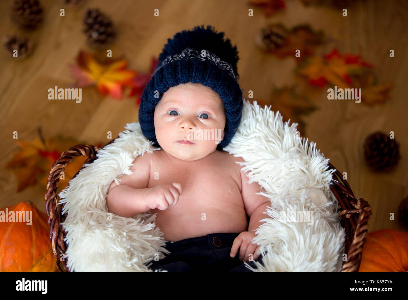 Cute newborn baby boy with blue knitted hat in a basket, pumpkins ...