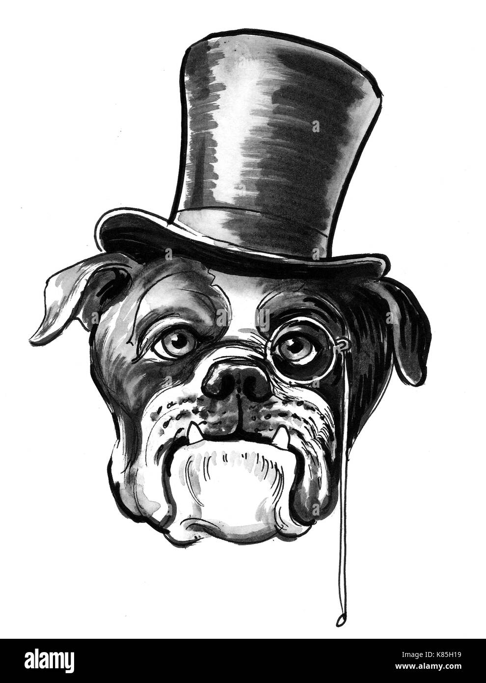 Bulldog with hat hi-res stock photography and images - Alamy