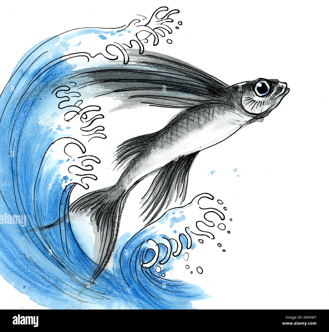 Flying fish. Ink and watercolor illustration Stock Photo - Alamy