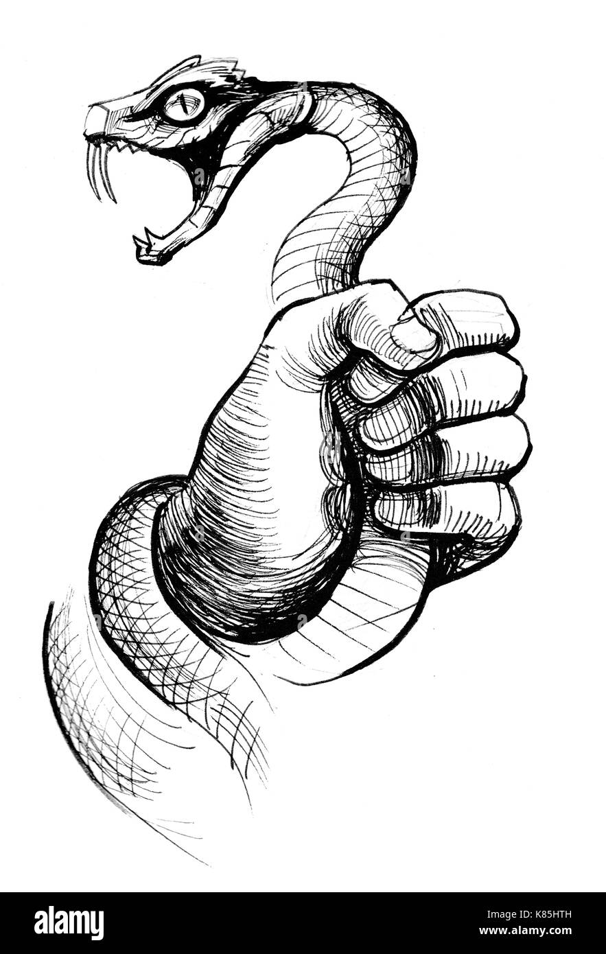 Hand holding snake hi-res stock photography and images - Alamy