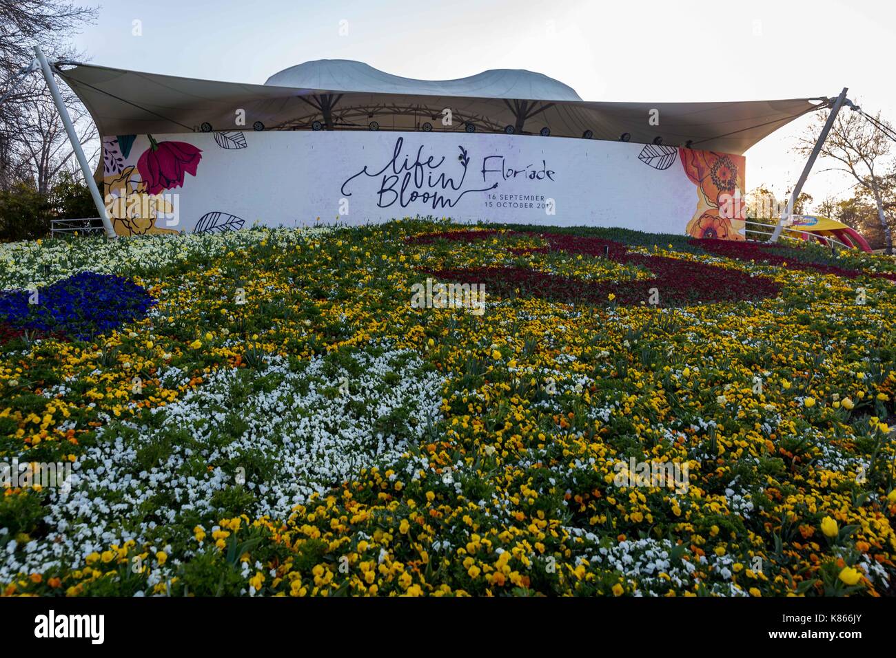 Canberra flowers floriade hi-res stock photography and images - Alamy