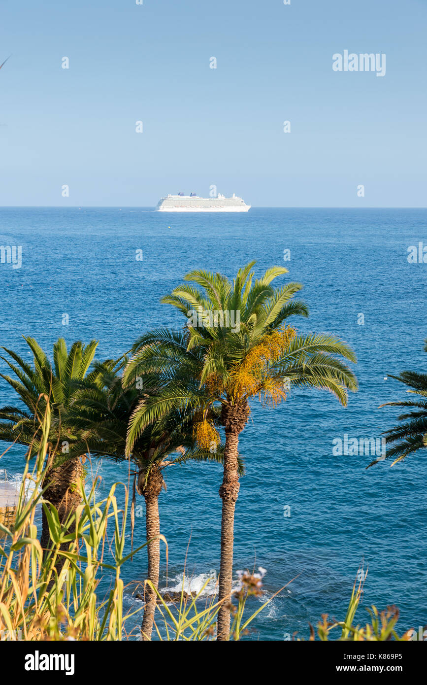 Cruise ship palm trees hi-res stock photography and images - Alamy