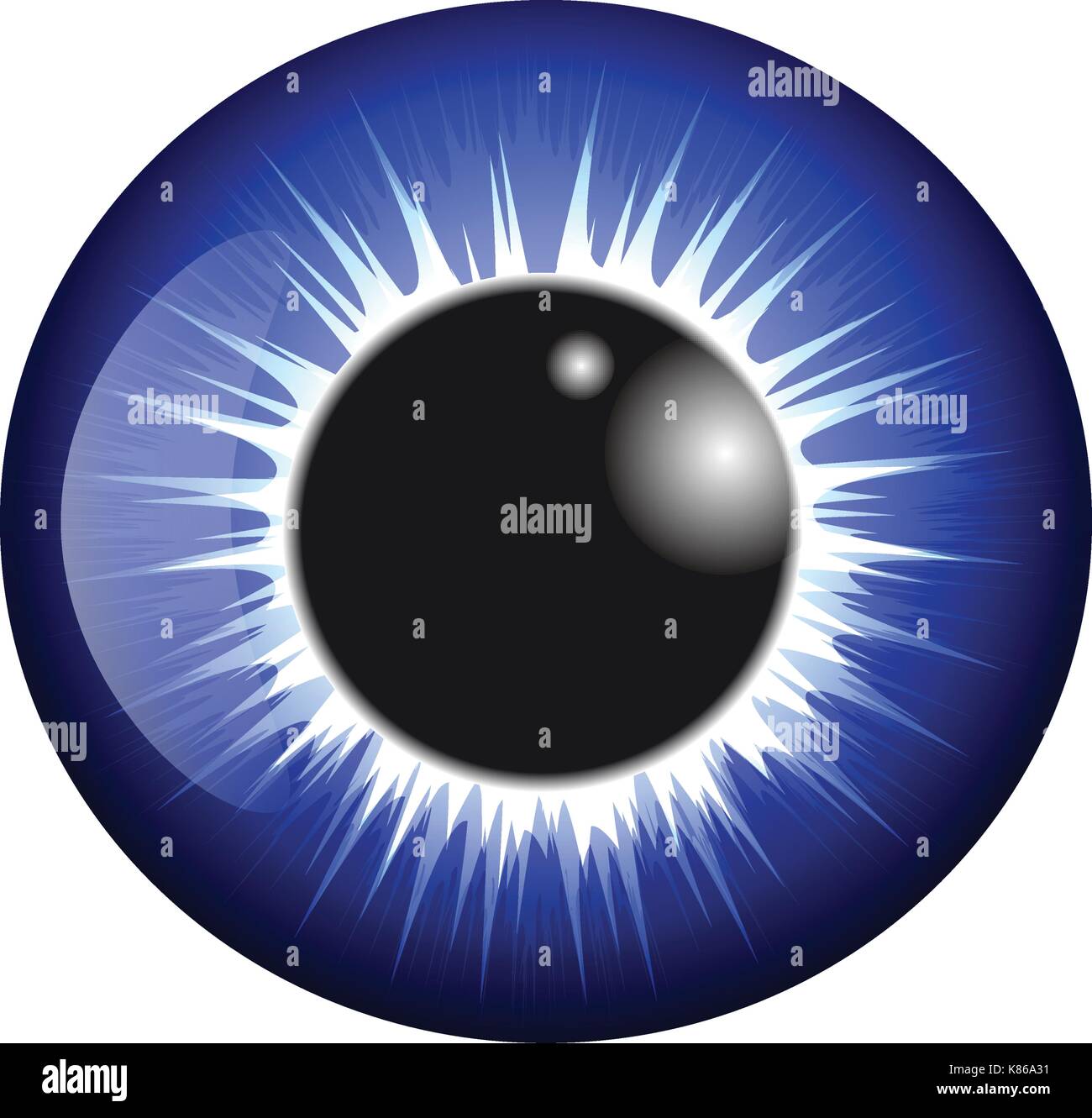 eye, pupil, iris, vector symbol icon design. Beautiful illustration ...