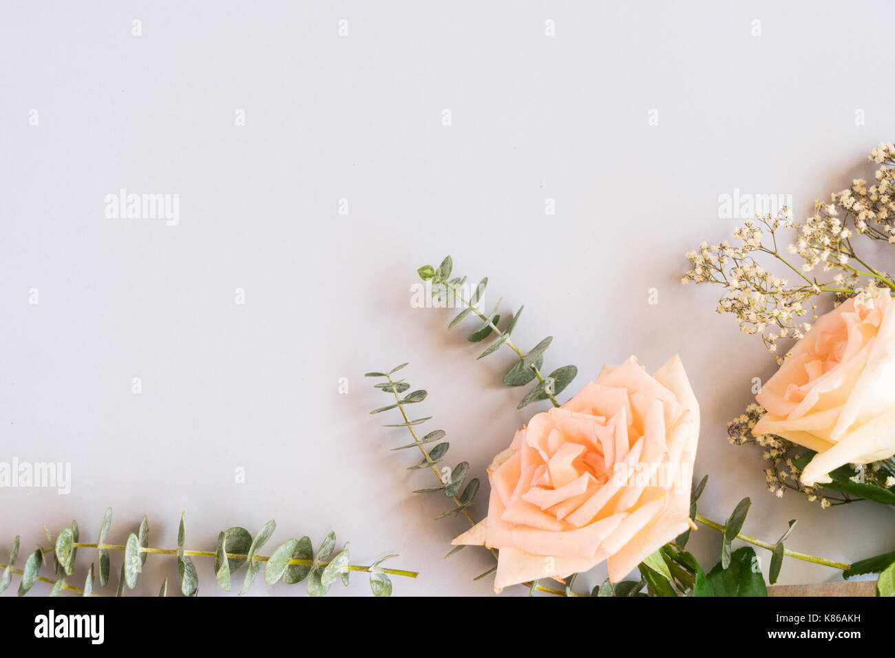 fresh rose flowers Stock Photo - Alamy