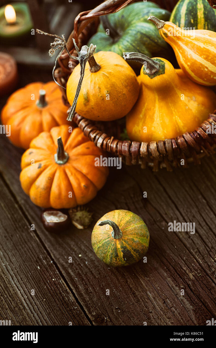Setting festival dinner table hi-res stock photography and images - Alamy