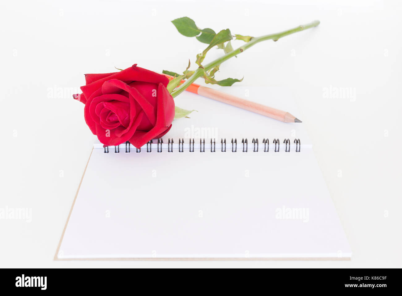 red rose pencil and notebook isolated on white background Stock Photo ...