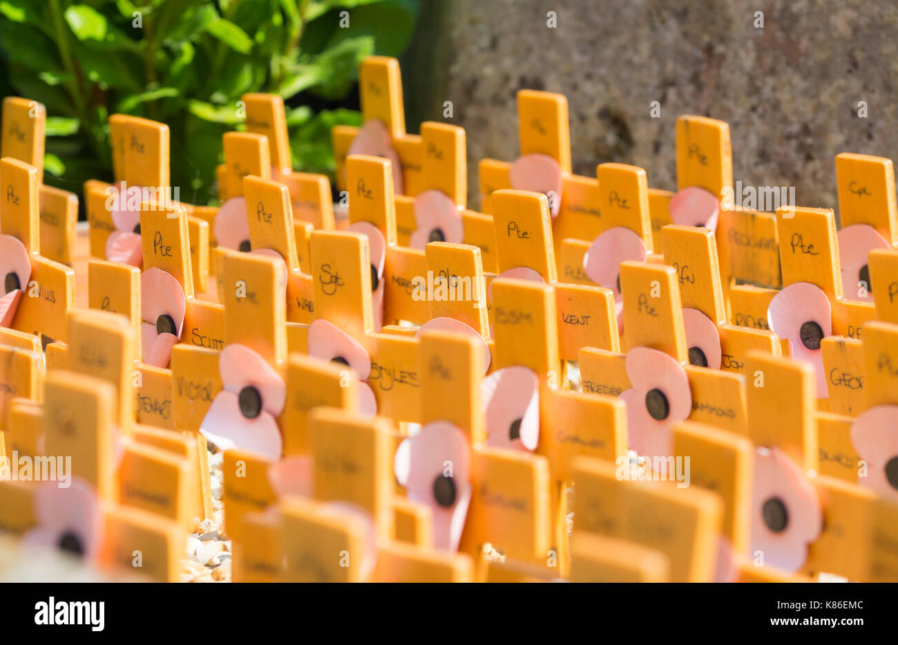 Remembering the fallen hi-res stock photography and images - Alamy