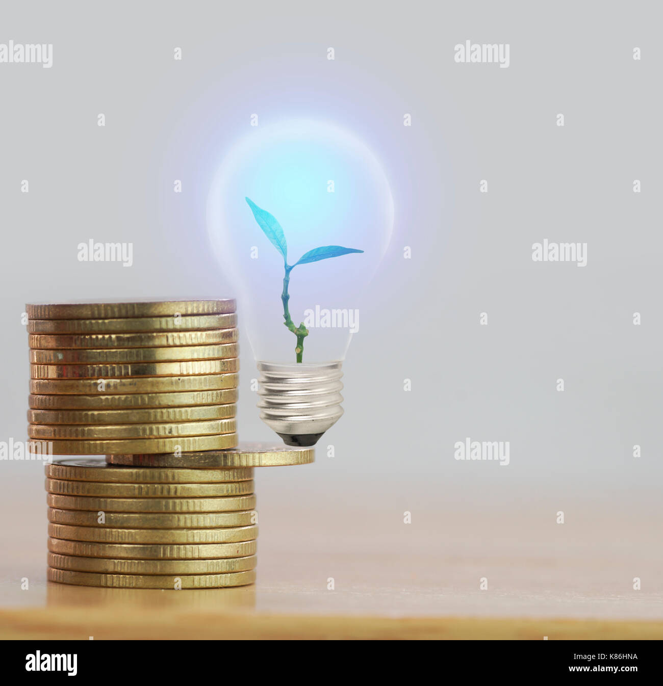 row of money coins with light of bulbe and tree grow up, concept in ...