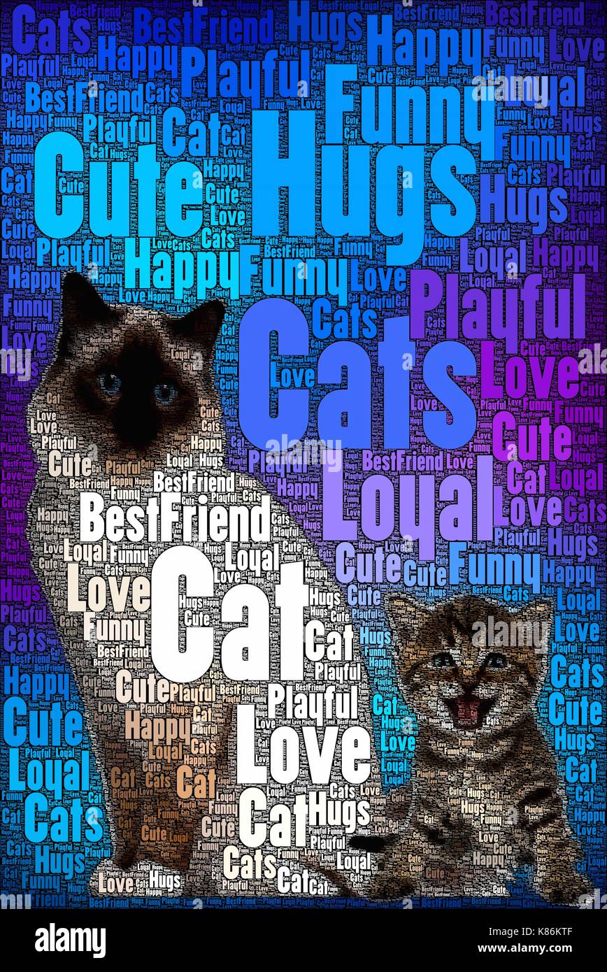 Charity cats hi-res stock photography and images - Alamy