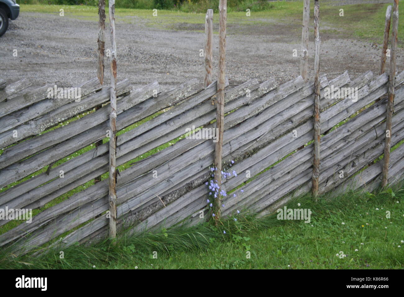 Skigard, a traditional Norwegian fence made from a dense coverage of ...