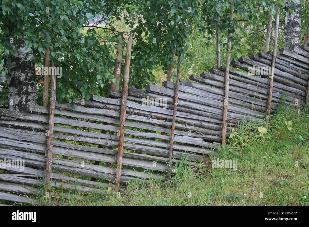 Skigard, a traditional Norwegian fence made from a dense coverage of ...