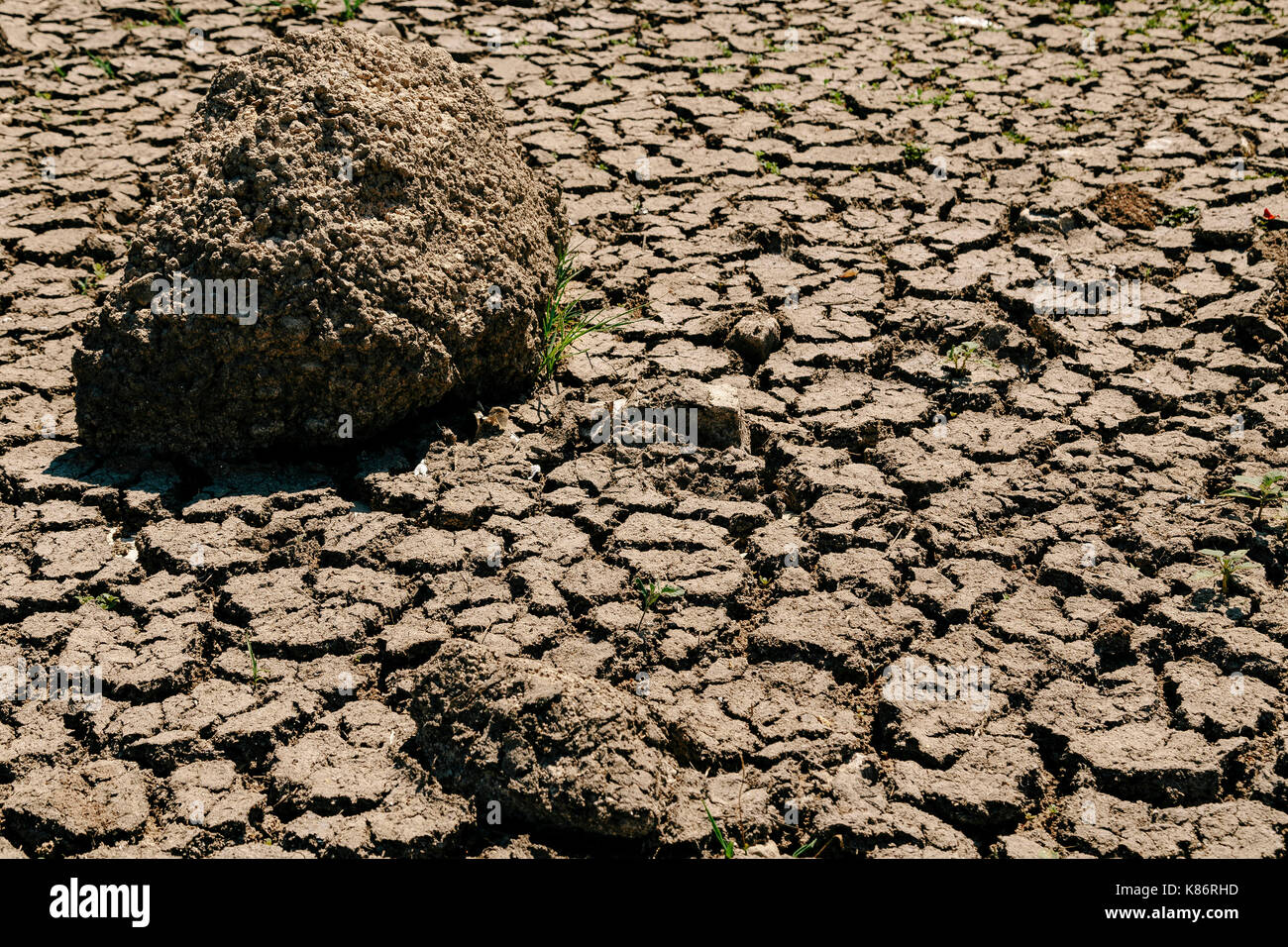 Cracks in drought affected earth Stock Photo - Alamy