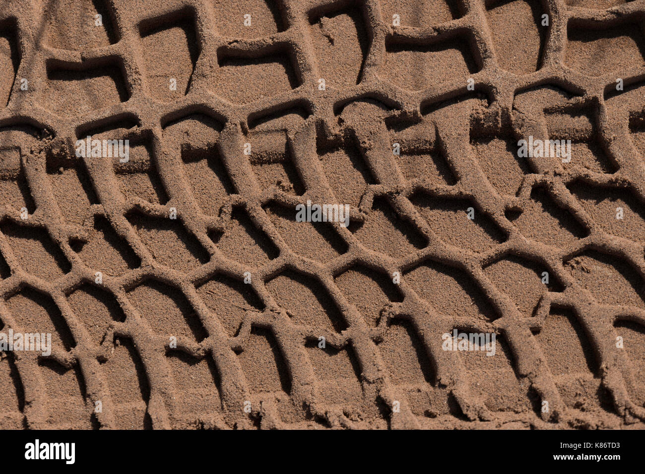 Muddy Atv Tire Tracks