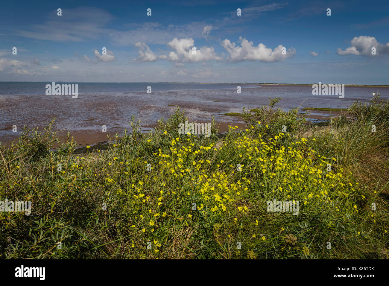 Spurn national nature reserve hi-res stock photography and images - Alamy