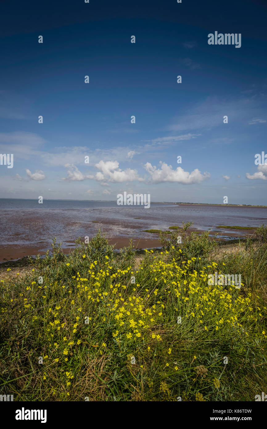 Spurn nature reserve hi-res stock photography and images - Alamy