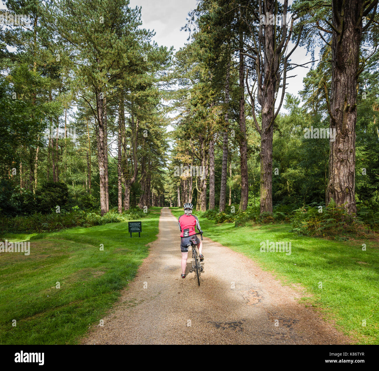 Sandringham estate cycling hi-res stock photography and images - Alamy