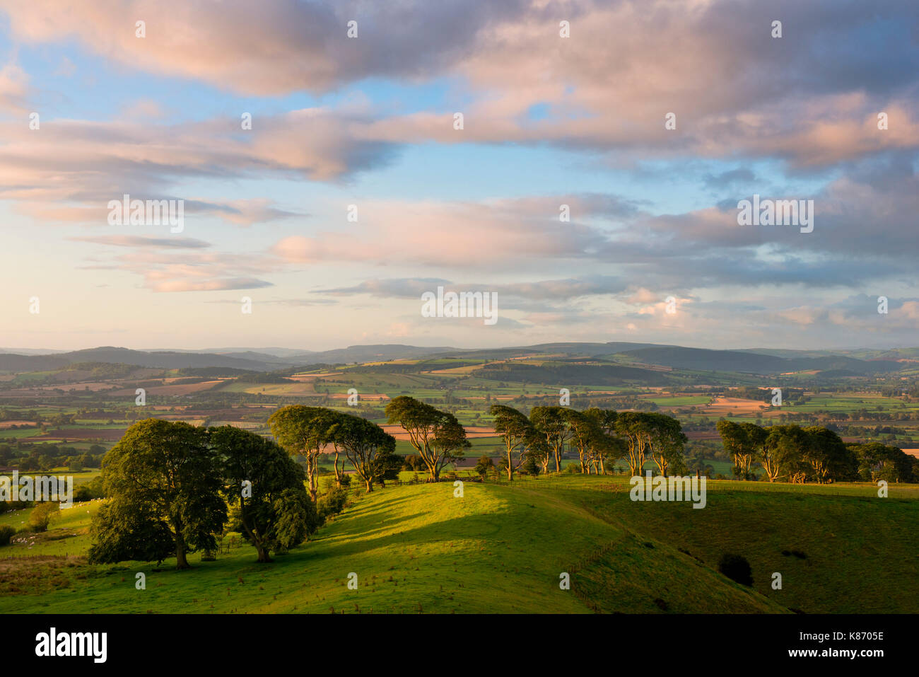 Hills avenue hi-res stock photography and images - Alamy