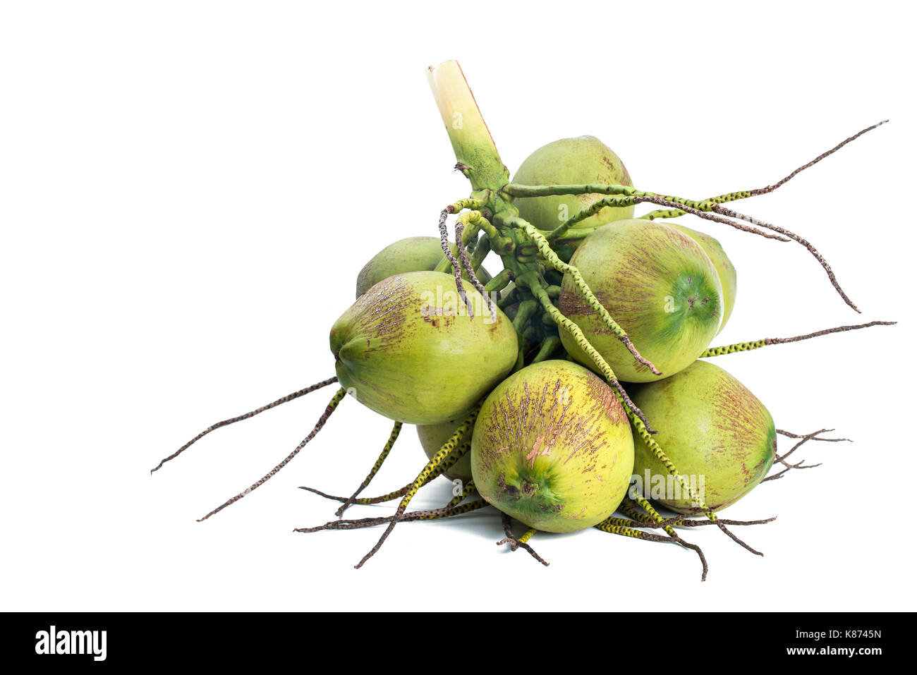 fresh coconut bunch isolated on white Stock Photo - Alamy