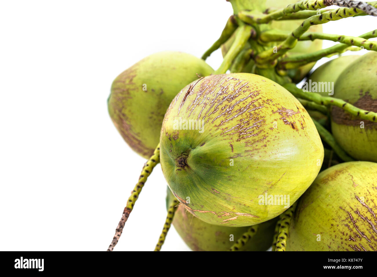 fresh coconut bunch on white background Stock Photo - Alamy