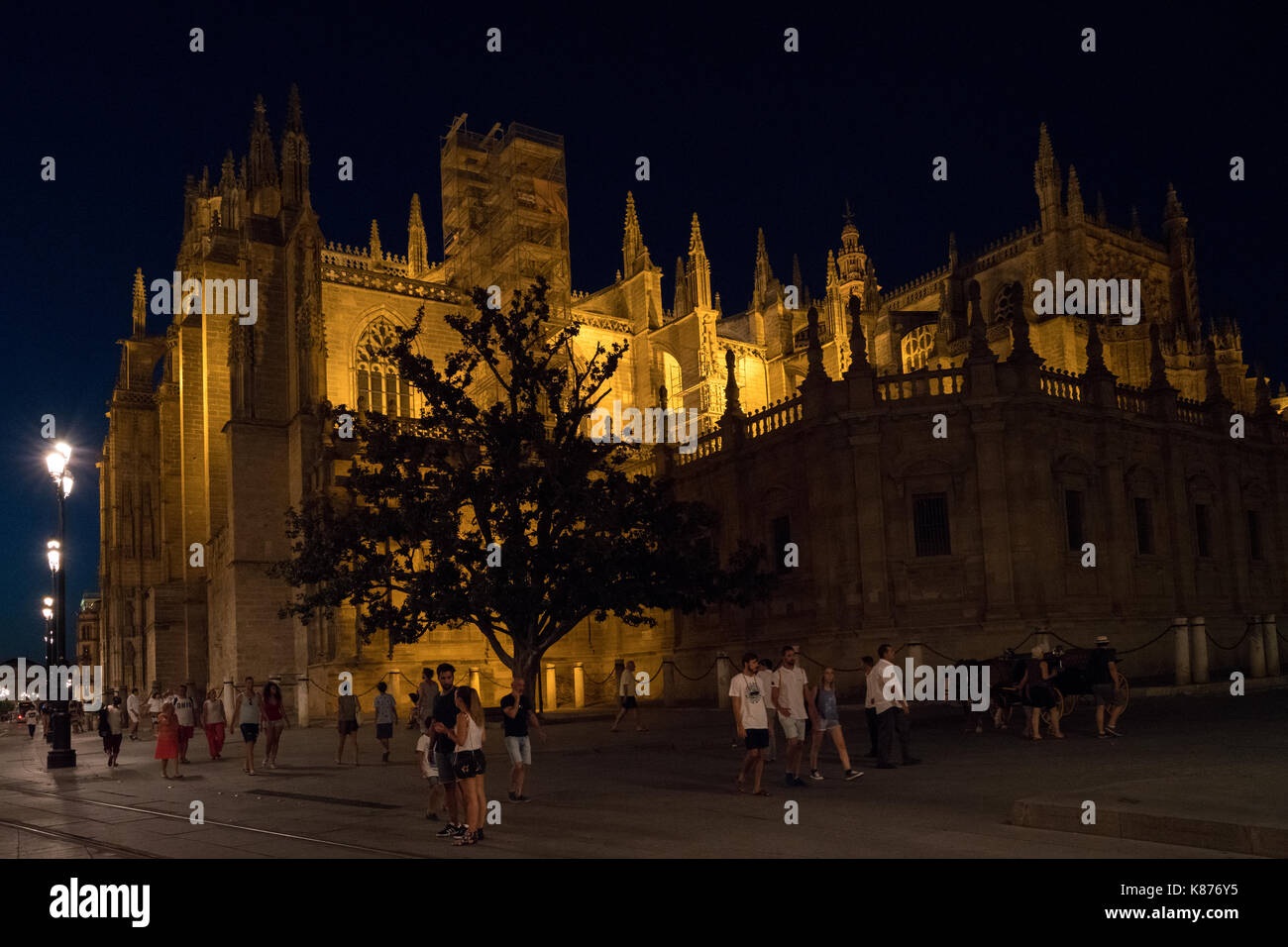 Catedral de sevilla night hi-res stock photography and images - Alamy