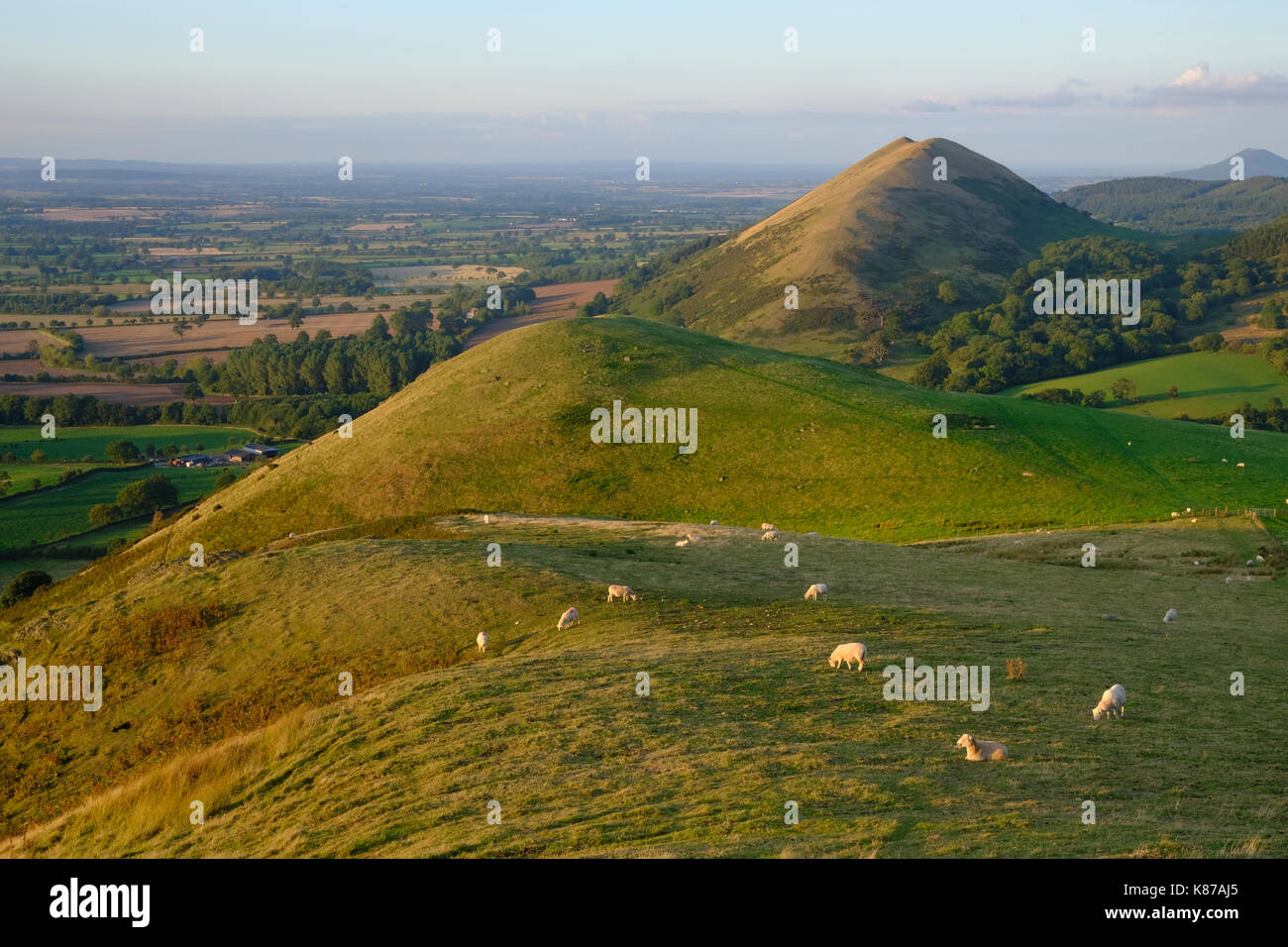 The Lawley, viewed from Caer Caradoc, Shropshire, UK Stock Photo - Alamy