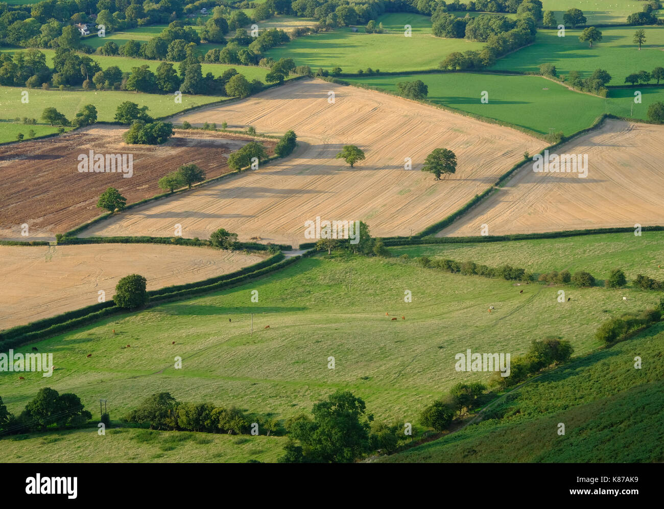 fields patterns in Shropshire, England Stock Photo - Alamy