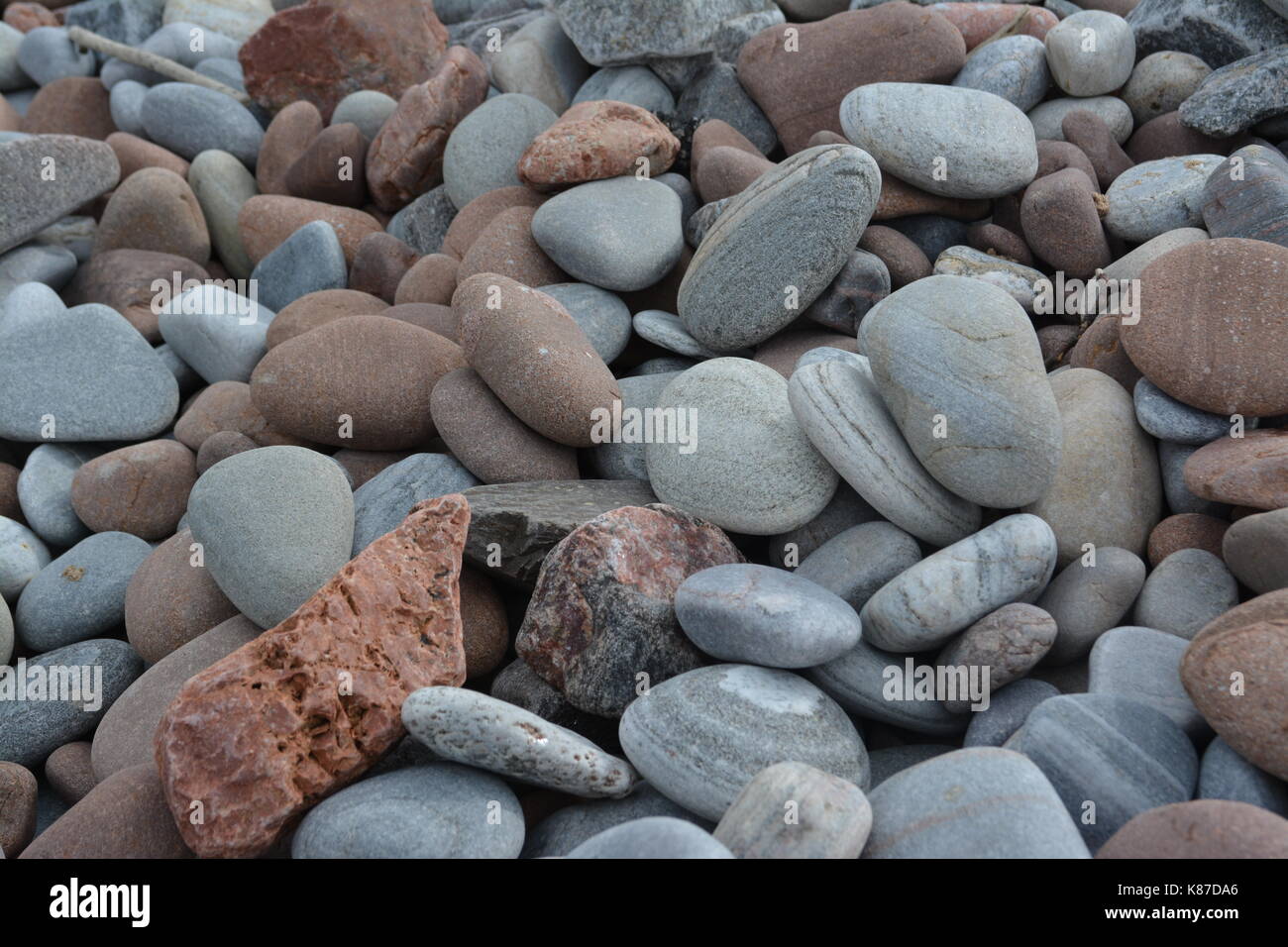 Collection of pebbles stones and rocks on beach in Rosemarkie Scotland ...