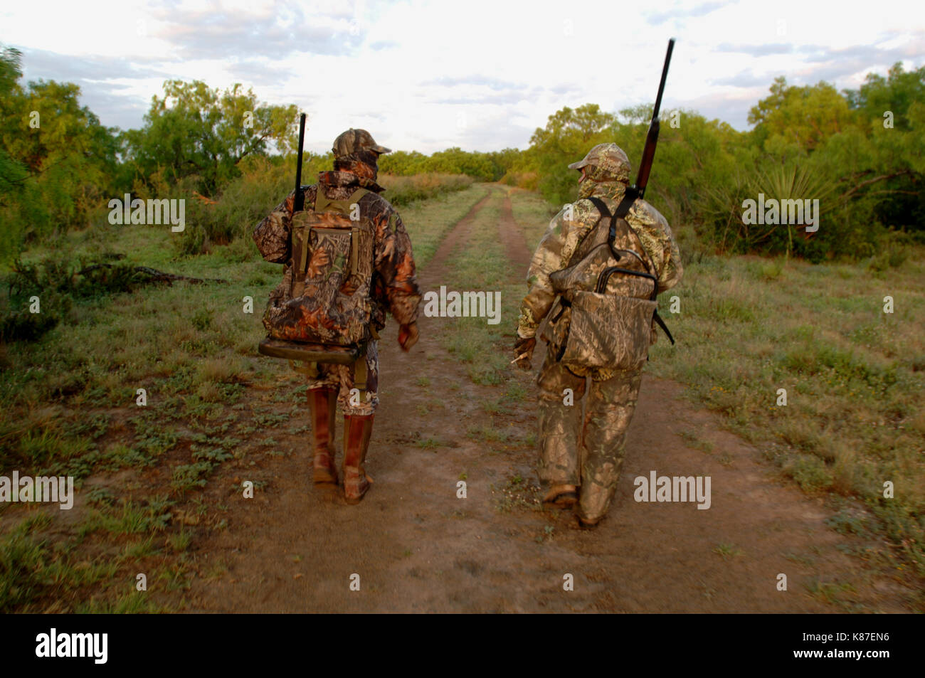 Spring turkey hunting in Texas Stock Photo - Alamy