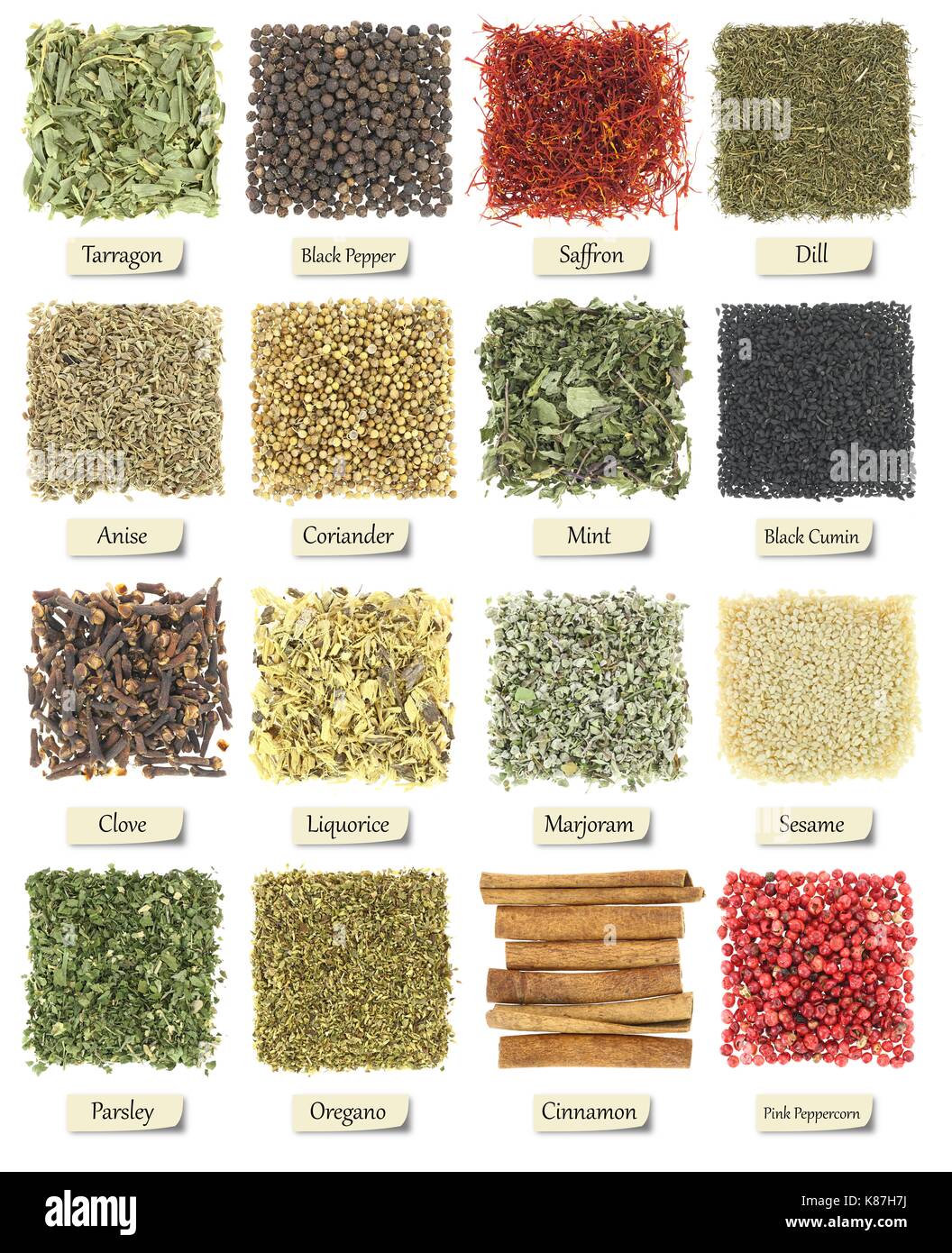 Collection of herbs and spices isolated on white Stock Photo - Alamy