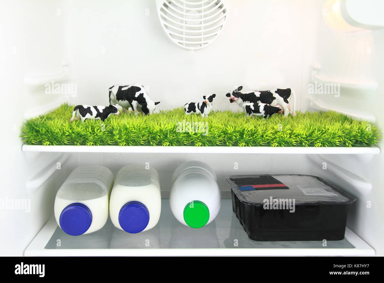 Freshness concept. A field with cows inside the fridge Stock Photo - Alamy