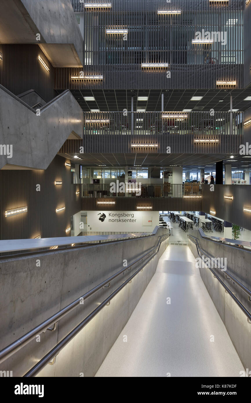 Descending suspended walkway with rising staircases to side, and view ...