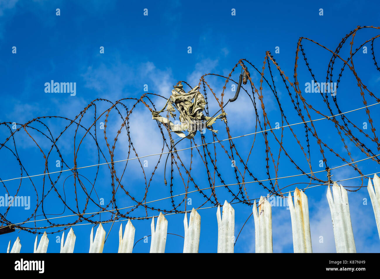 Razor wire with trapped underwear Stock Photo - Alamy